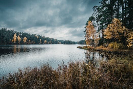 Mira los SIGNIFICADOS de 0101 HORA ESPEJO Y Sorpréndete!
